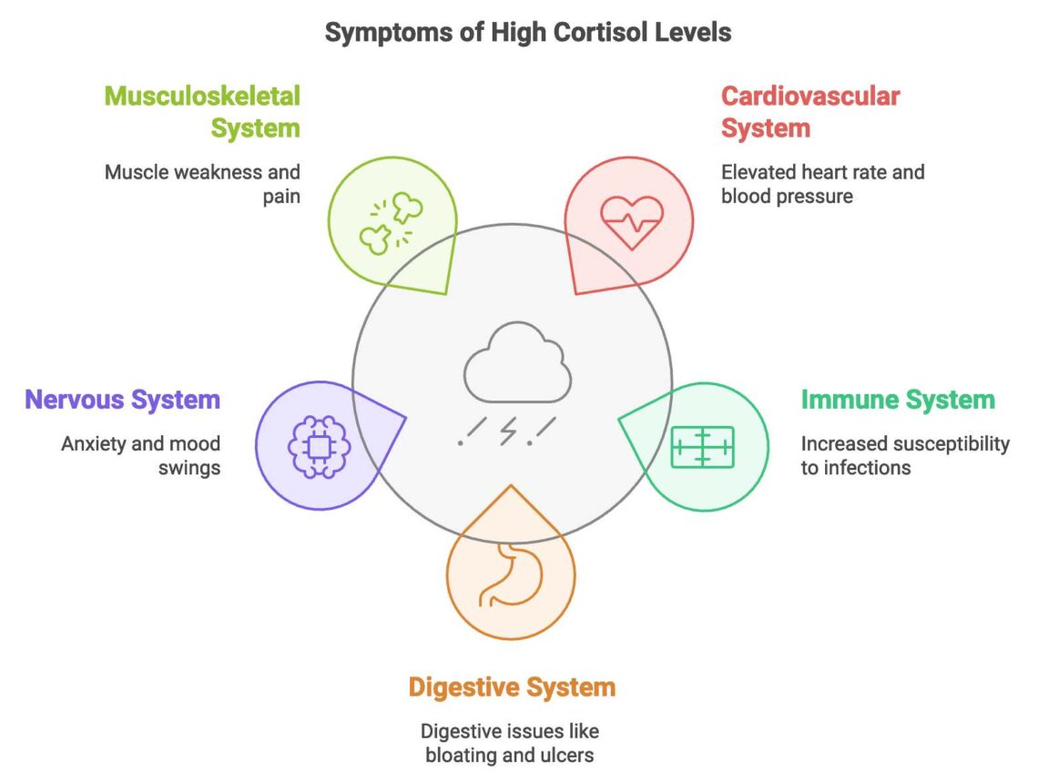 Breaking the Cycle: Managing Cortisol Stress Hormone Levels - Sleepy Hero